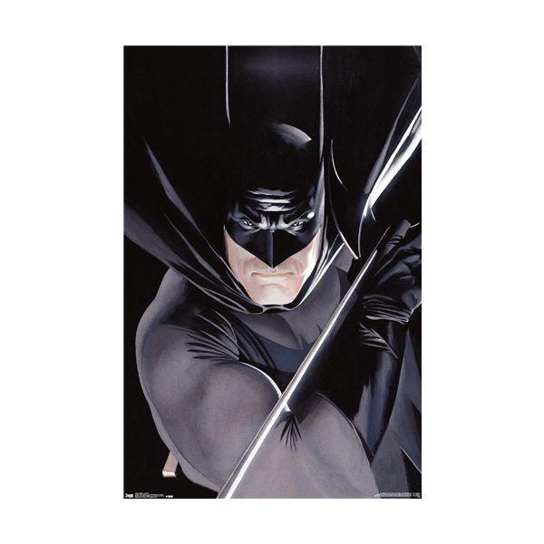 Trends International DC Comics Batman Portrait Wall Poster