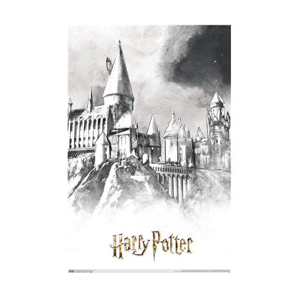 Trends International The Wizarding World: Harry Potter - Illustrated ...