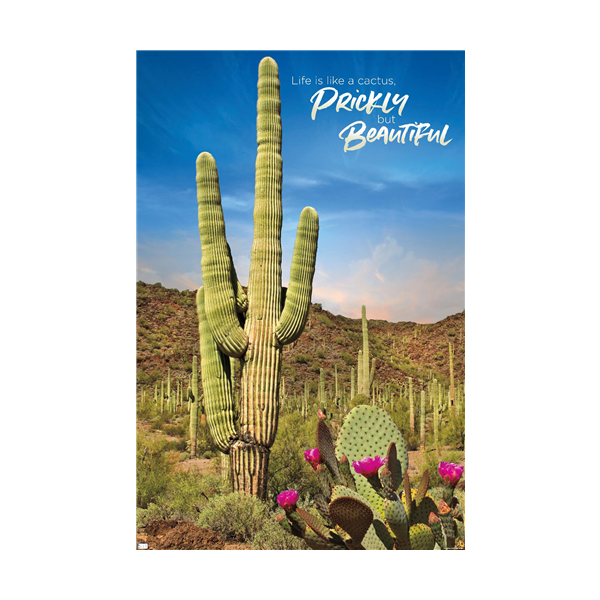 Trends International Cactus - Beautiful Wall Poster