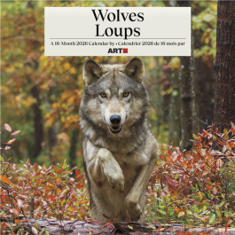 DateWorks 2026 Wolves (Bilingual French) Wall Calendar
