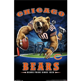 Trends International NFL Chicago Bears - End Zone 17 Wall Poster