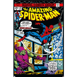 Trends International Marvel Comics - Spider-Man - Amazing Spider-Man ...