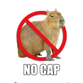 Trends Capybara - No Cap Poster
